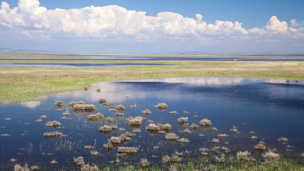 Wildlife refuges and natural landscapes across Oregon