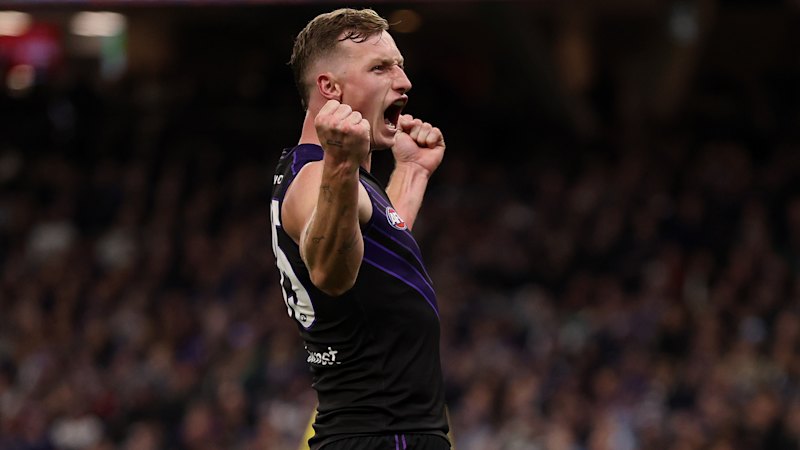 Fremantle Dockers overcome yips to chase down Cats for 13th win