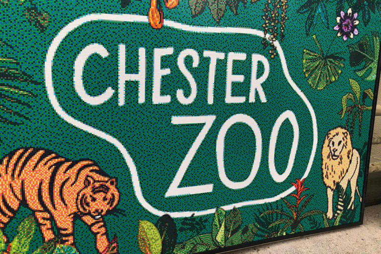 Rare animal arrives at Chester Zoo and he's 'quite the catch'