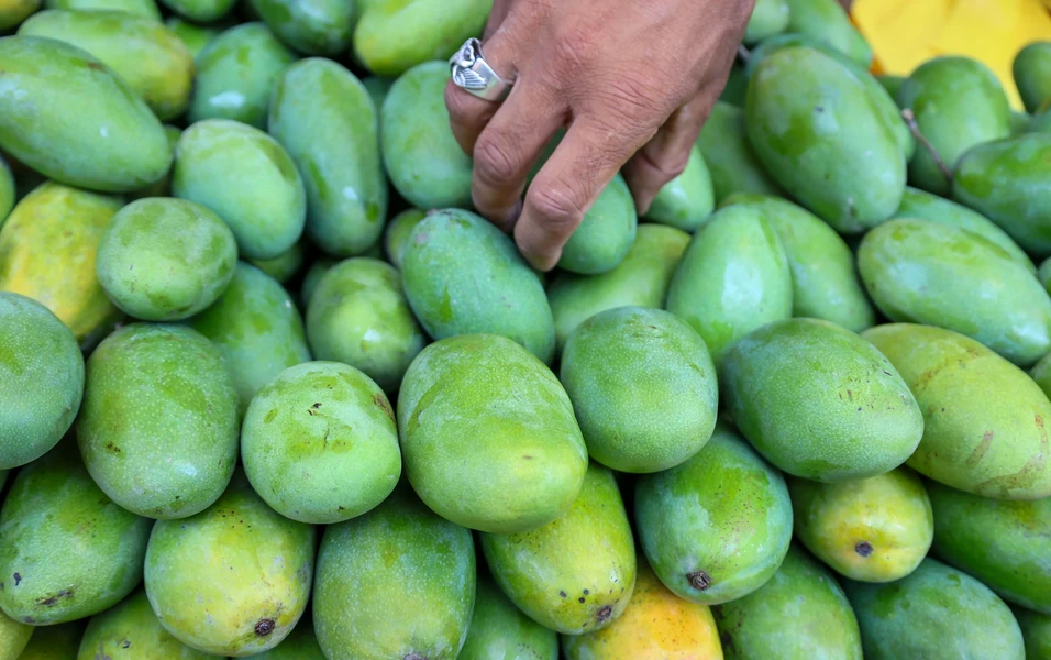 NRI’s 9-minute mango delivery sparks online praise and criticism