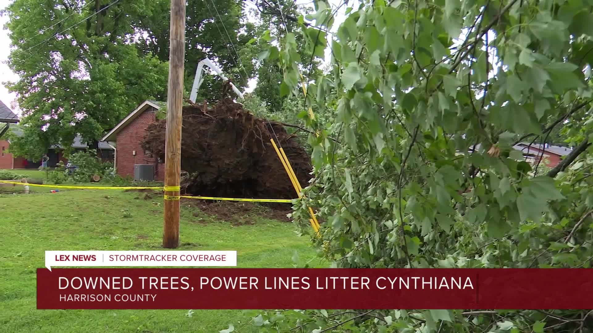 Downed trees, power lines litter Cynthiana