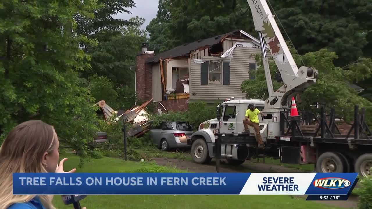 Family makes it out safe after large tree limb crashes through Fern ...