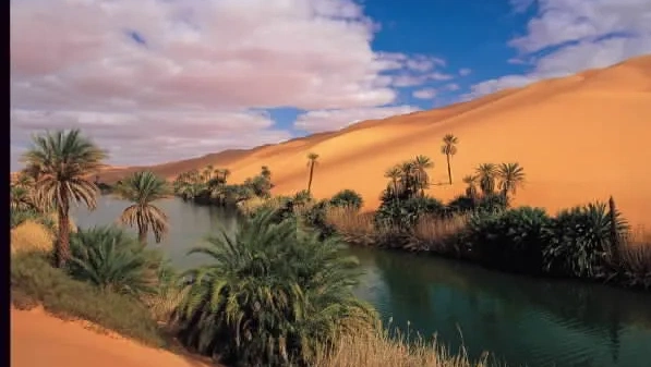 New research confirms Sahara’s abrupt shift from green to desert