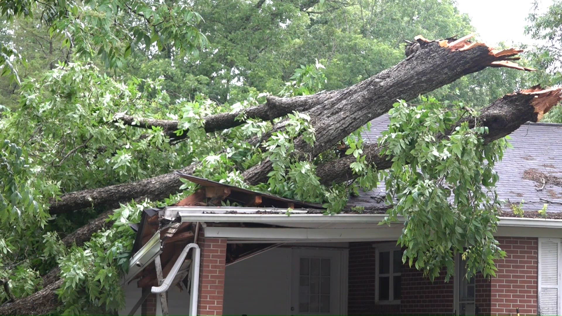 Wilkinson County mother, daughter displaced after pair of trees fall on ...