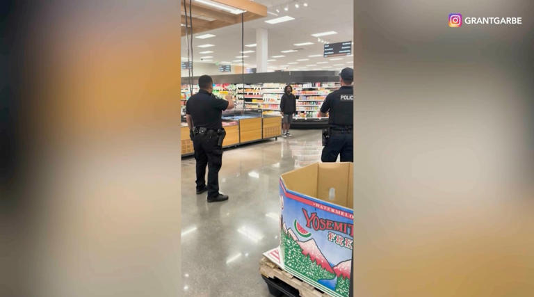 Details, frightening video emerge in violent Simi Valley Target store ...