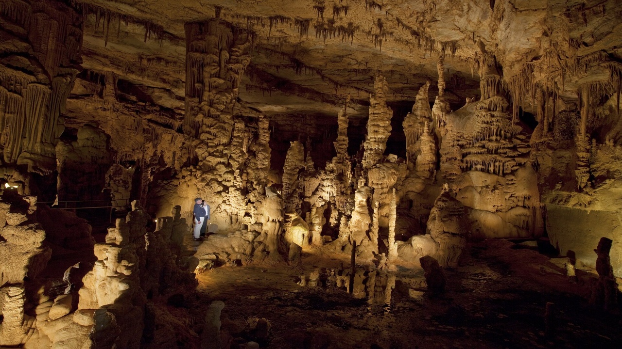 Northeast Alabama is hiding a cave entrance 126 feet wide and packed ...