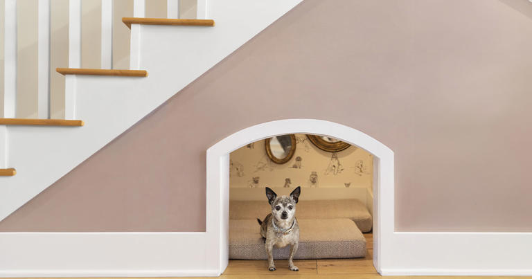 Desain rumah pet friendly yang nyaman dan fungsional