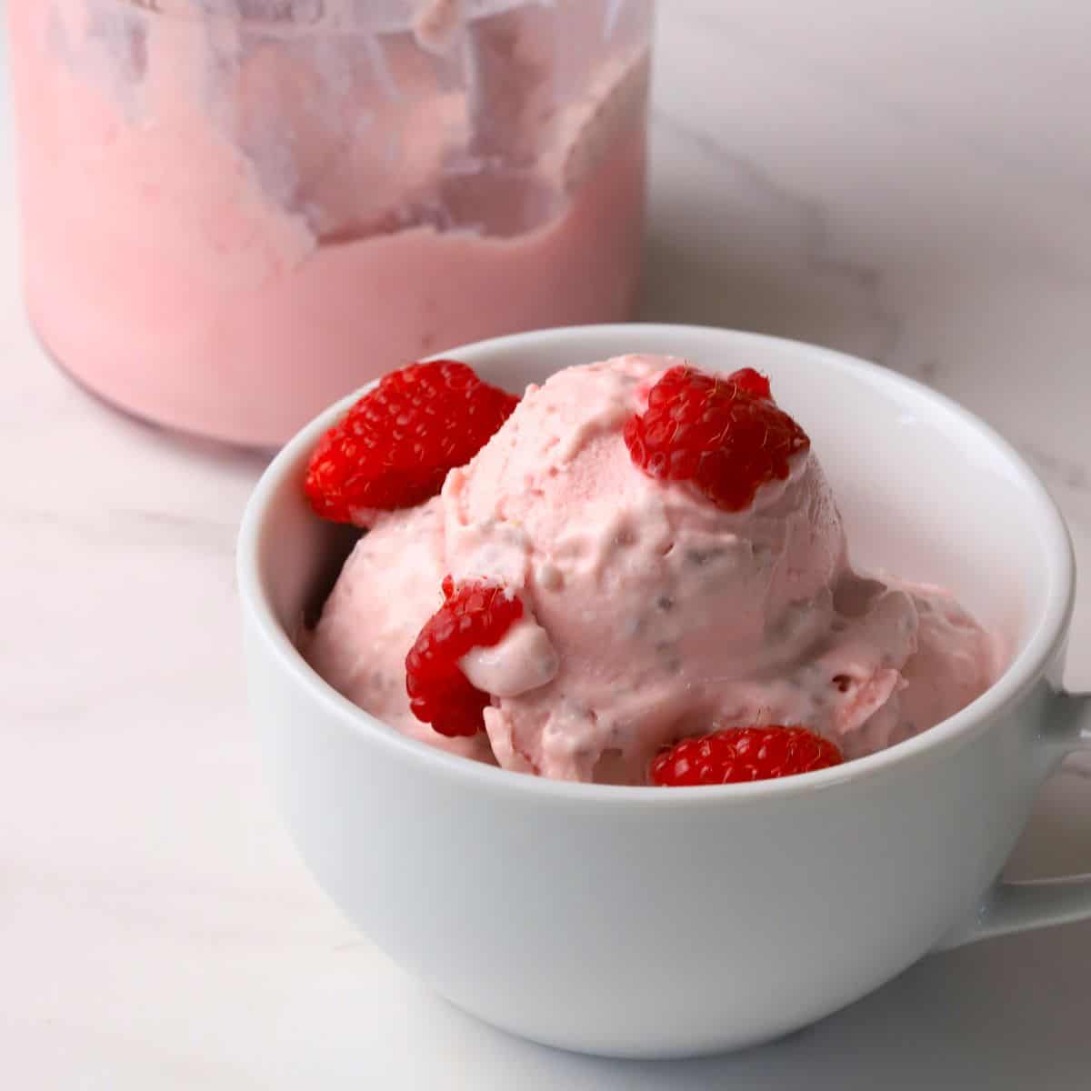 Low carb raspberry chia ice cream (Ninja Creami)