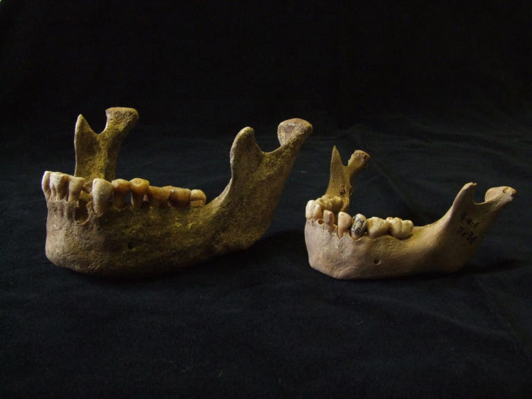 New discovery that hunter-gatherer children died of plague more than ...