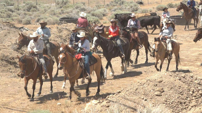 Honoring the western heritage of the Silver State: Cattle Drive arrives ...