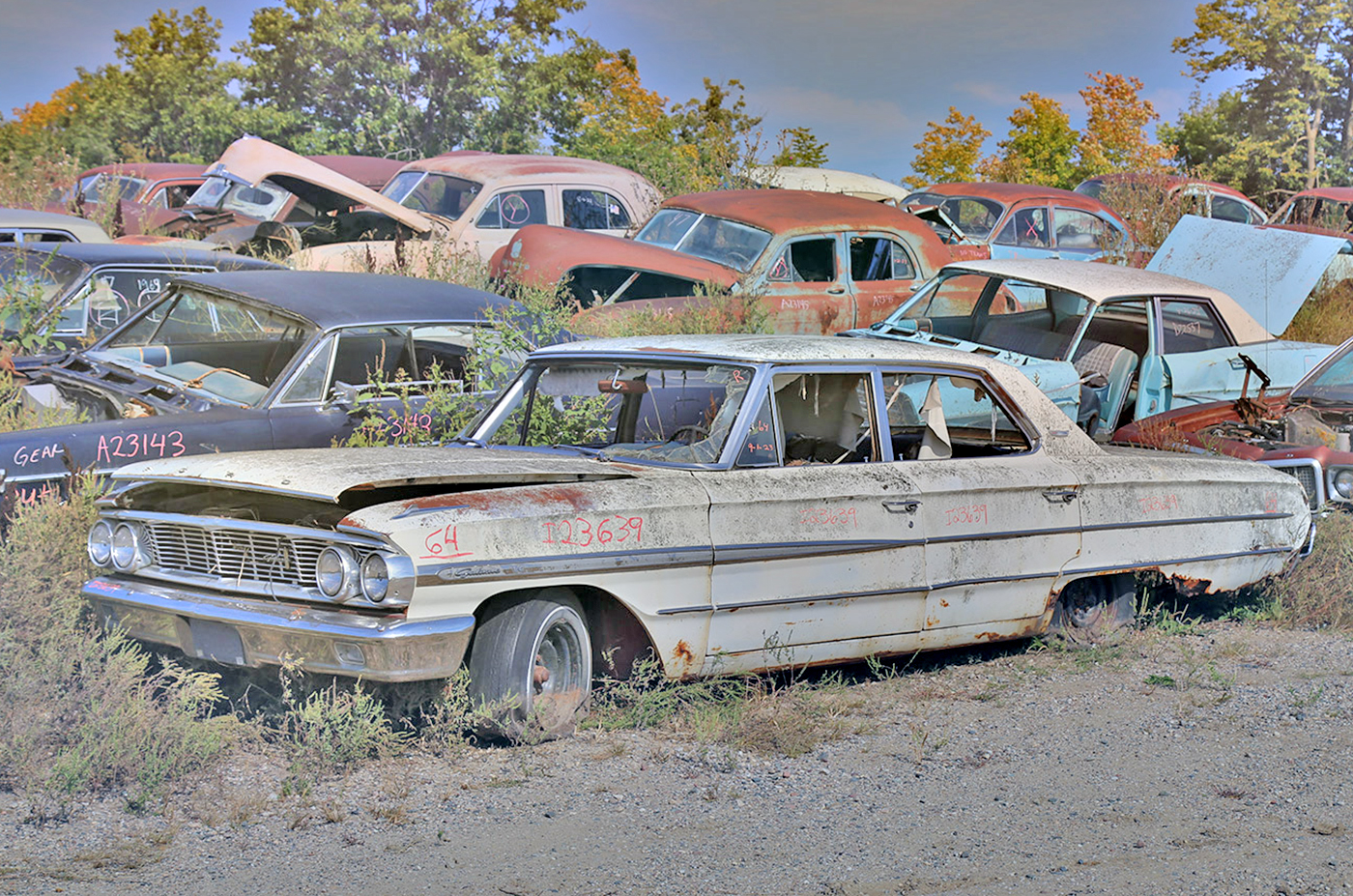 Los hallazgos junkyard de French Lake Auto Parts, Annandale, Minnesota