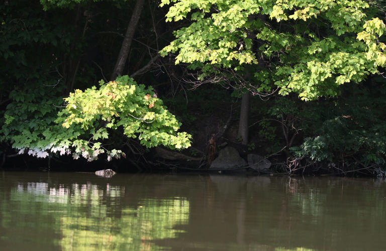 Mid-Hudson Valley weekend opens with gusty winds, closes with rain