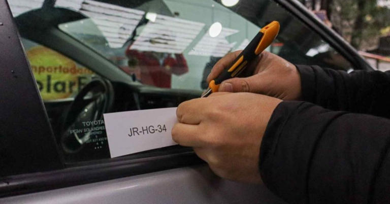Si grabaste así la patente de tu auto podrías perder $107 mil: El error ...