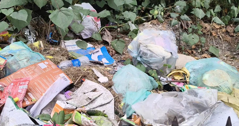 Himachal Pradesh: Garbage piles tarnish Manali's image amid peak ...
