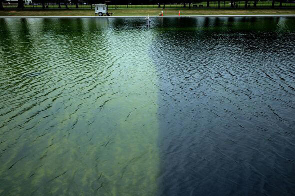 Trump's $14M reflecting pool a sorry sight as its plagued by peeling ...