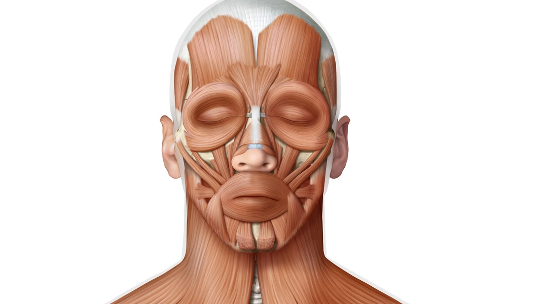 Exercises to strengthen posture and reduce strain