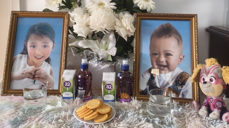 Fundraiser for parents of kids killed in pram crash raises more than $340k