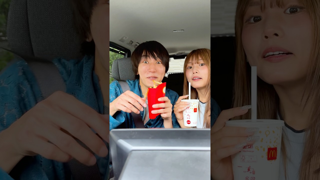 Seagull snatches McDonald’s fries in hilarious car encounter!