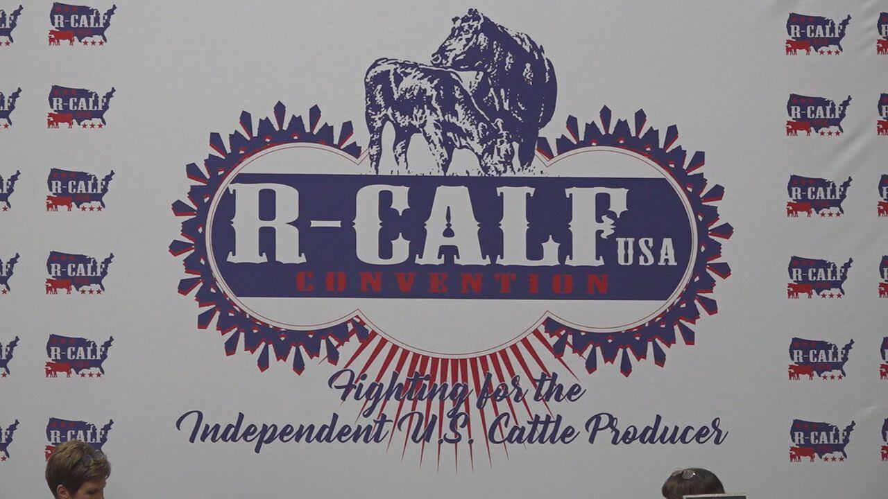 R-CALF national convention underway in Rapid City