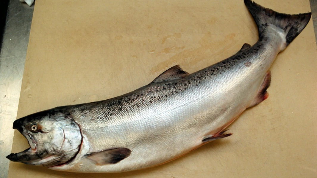 Identifying and preventing salmon spoilage