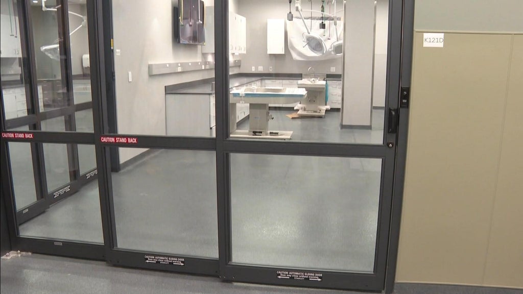 Colorado State University helping to address veterinary shortage with ...