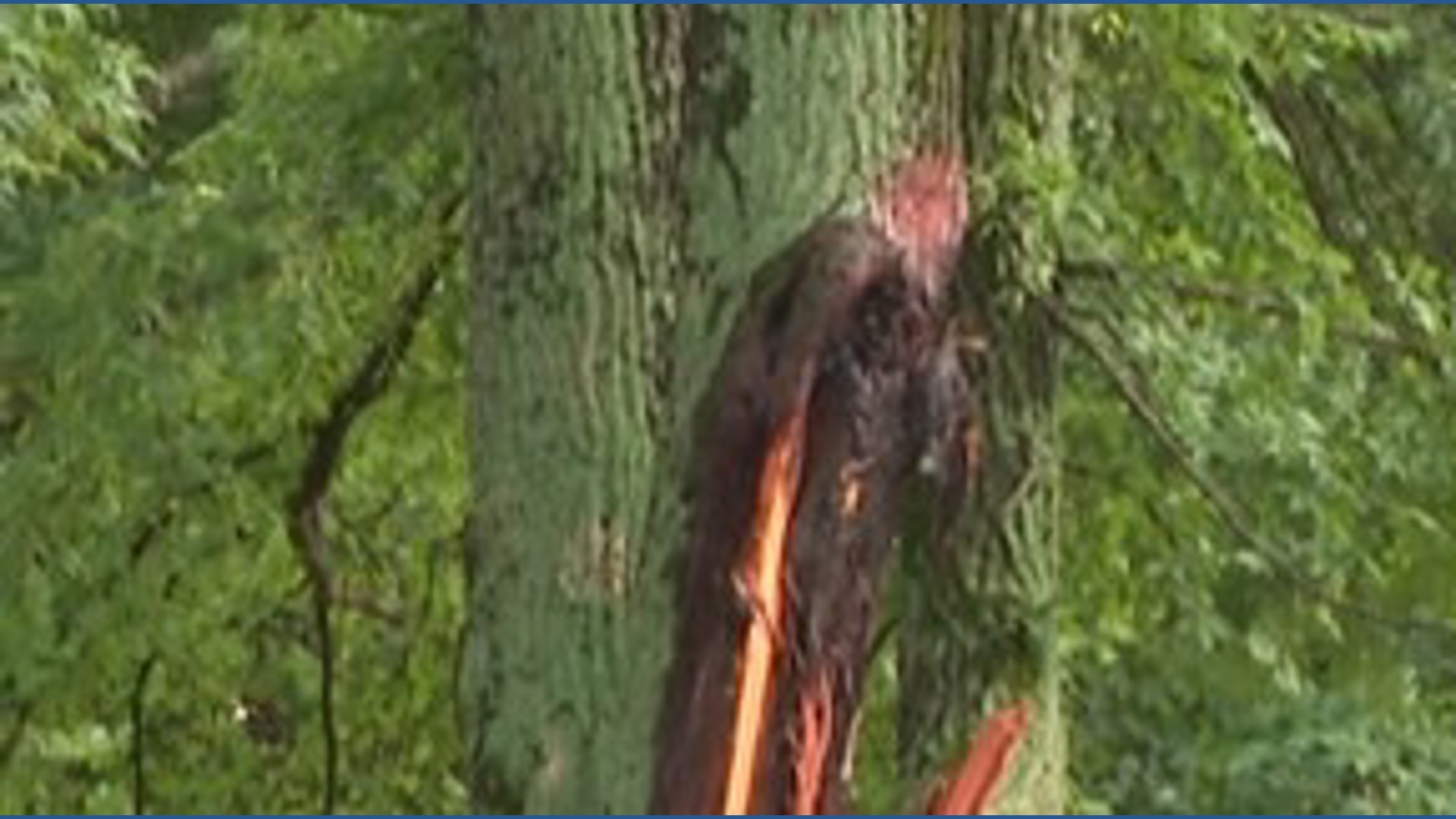 Storms move into Fort Smith, bringing tree down on Waldron Road and ...