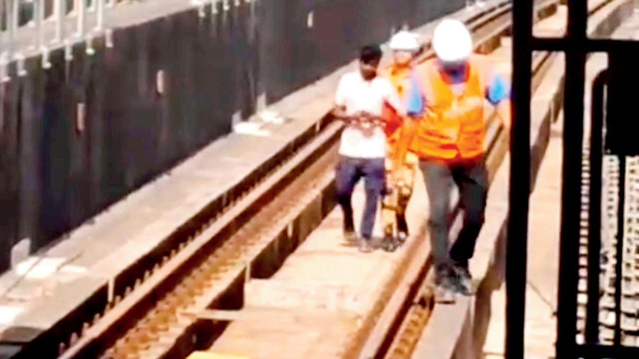Mumbai Metro services halted for 17 minutes after man walks on Blue ...