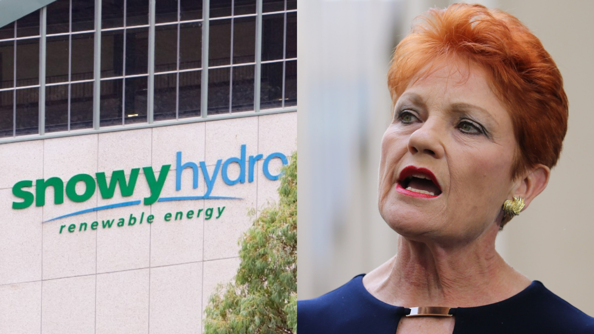 Hanson is 'absolutely right' for demanding the scrapping of Snowy 2.0
