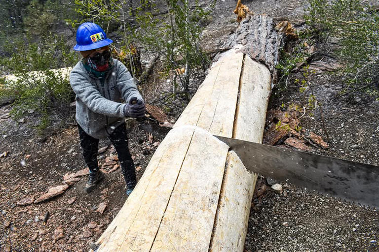 Popular trail at Mt. Charleston to close for a day as dangerous work ...