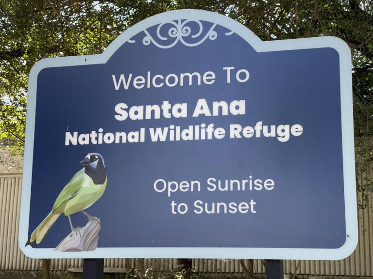 Santa Ana National Wildlife Refuge to close section for new border wall ...