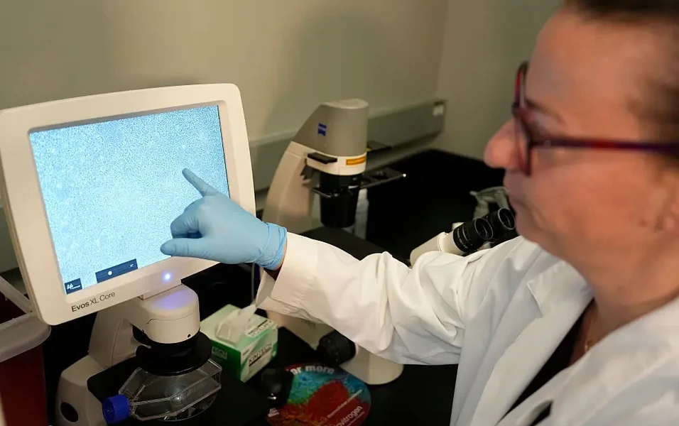 The hidden life of your cell’s skeleton