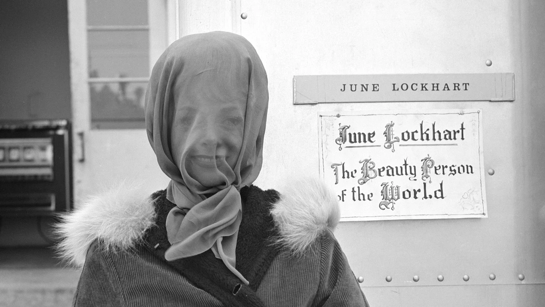 Lost in Space cast and the 'Fish Heads' phenomenon
