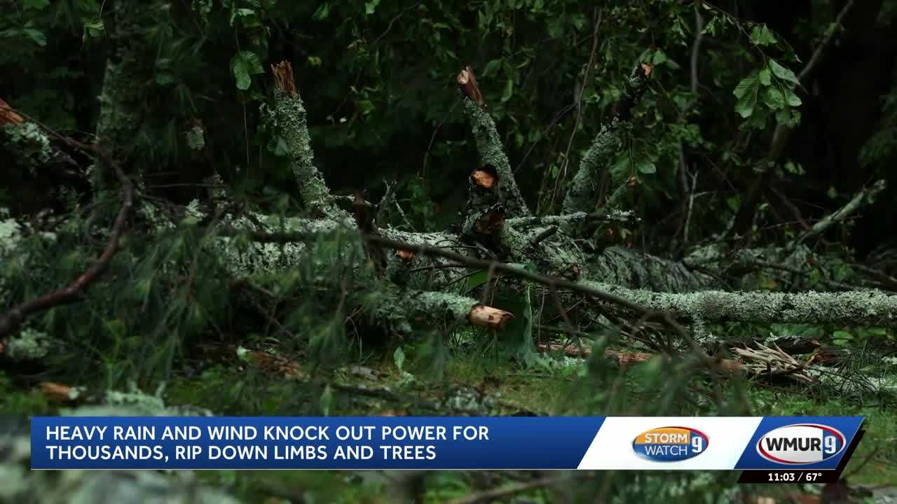 Storms knock down trees, power lines, causing thousands of outages ...