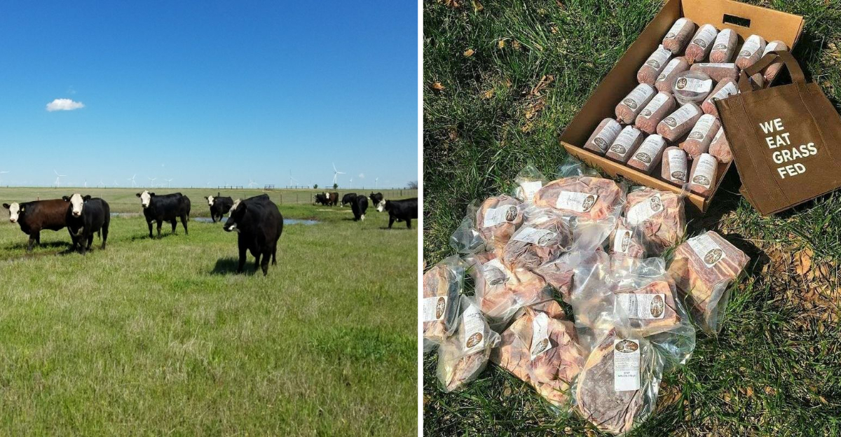 This Oklahoma family farm has been raising grass-fed beef and lamb ...