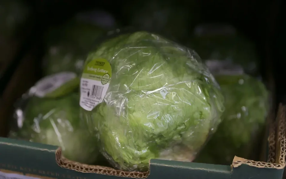 Why iceberg lettuce deserves a second look