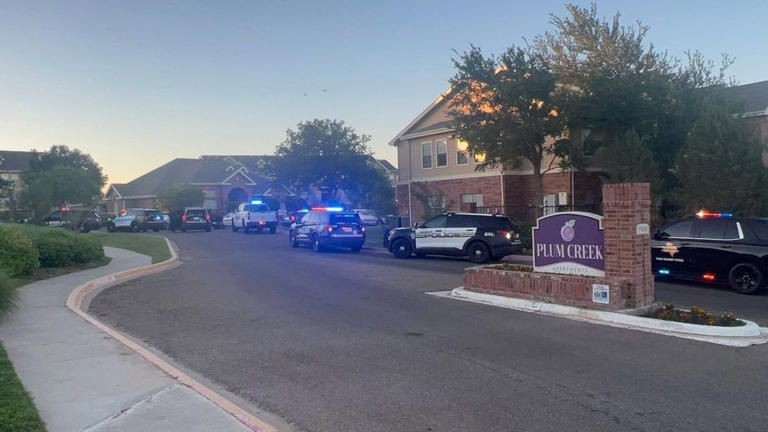 GoFundMe created for victim of Plum Creek Apartment shooting in ...