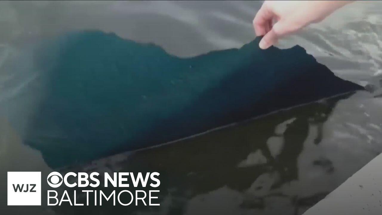 New $14 million paint job at DC reflecting pool peeling as crews fight ...