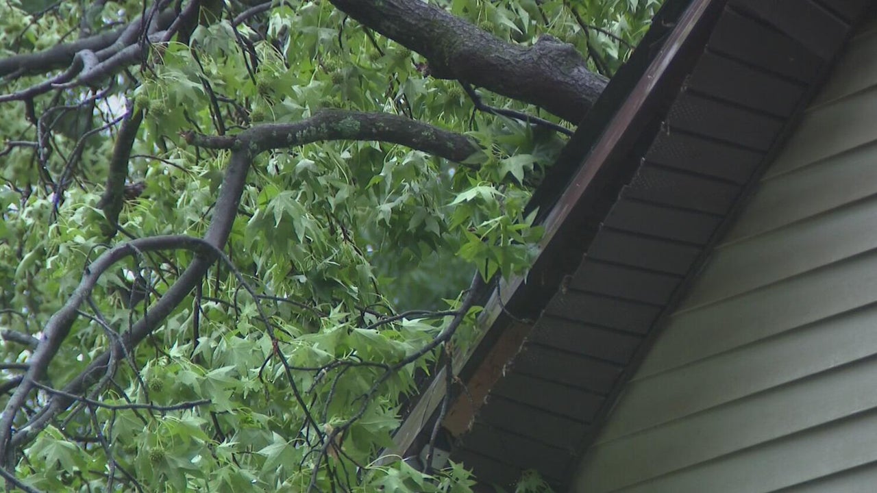 Storms knock down trees and power lines across metro Atlanta