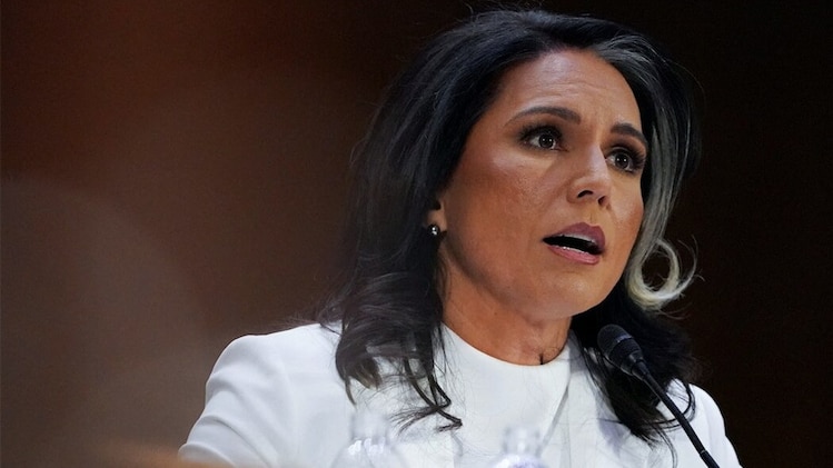 Fauci funded Wuhan research, misled US intelligence on COVID: Tulsi ...