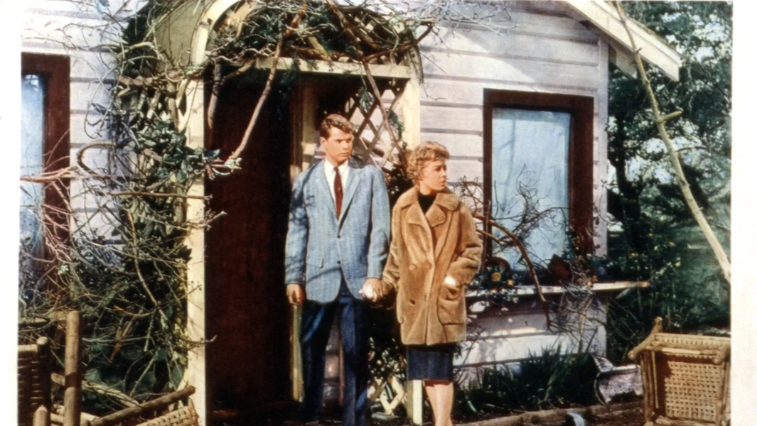 The rise and legacy of 'Theme from A Summer Place'