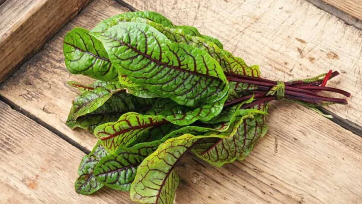 Winter vs summer greens: How seasonal eating changes in India