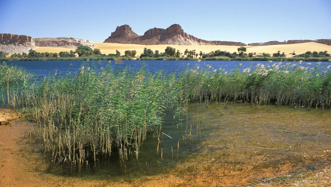 Ancient green Sahara offers clues to future climate shifts