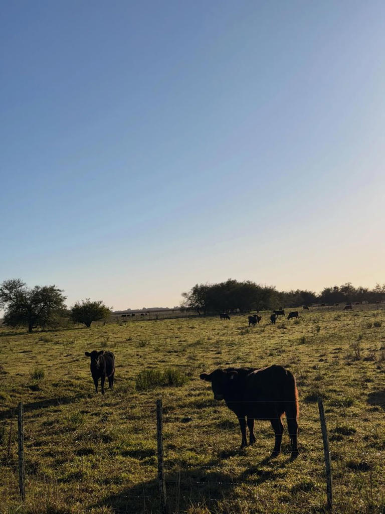 Ana Paula Dutil mostró su vida en el campo: “Disfrutar lo que queda”
