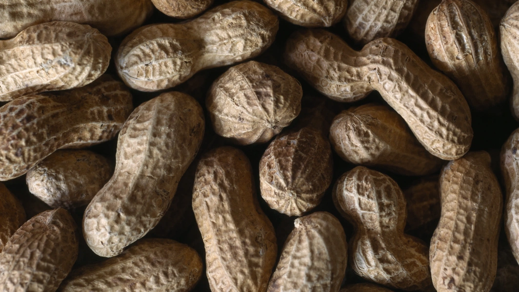 14 common food allergies and their warning signs