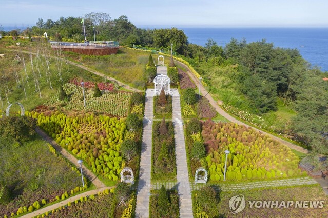 삼척 나릿골 감성마을 '꽃밭 변신'…관광객 유치 기대