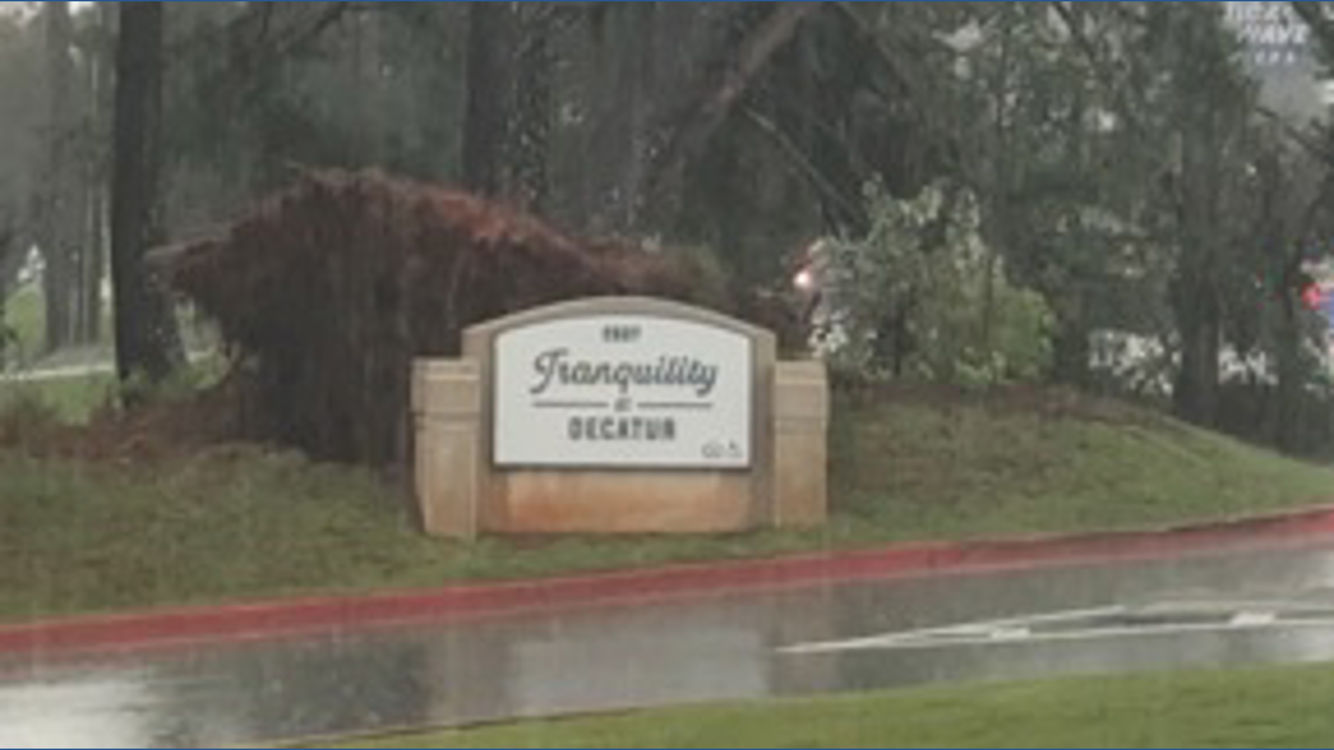 Tree falls on a power line in Decatur
