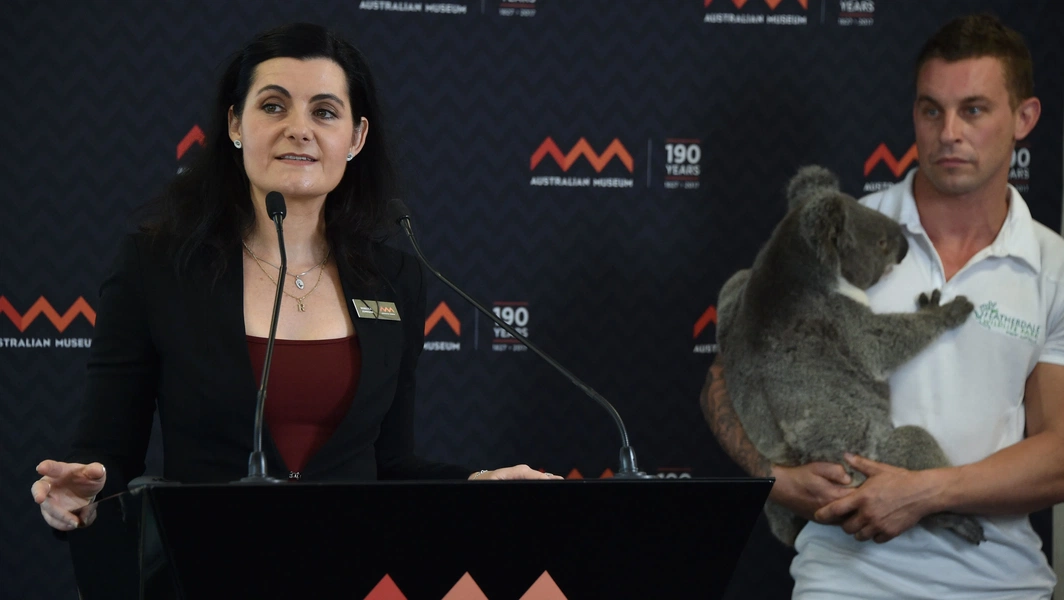 From ancient giants to modern koalas