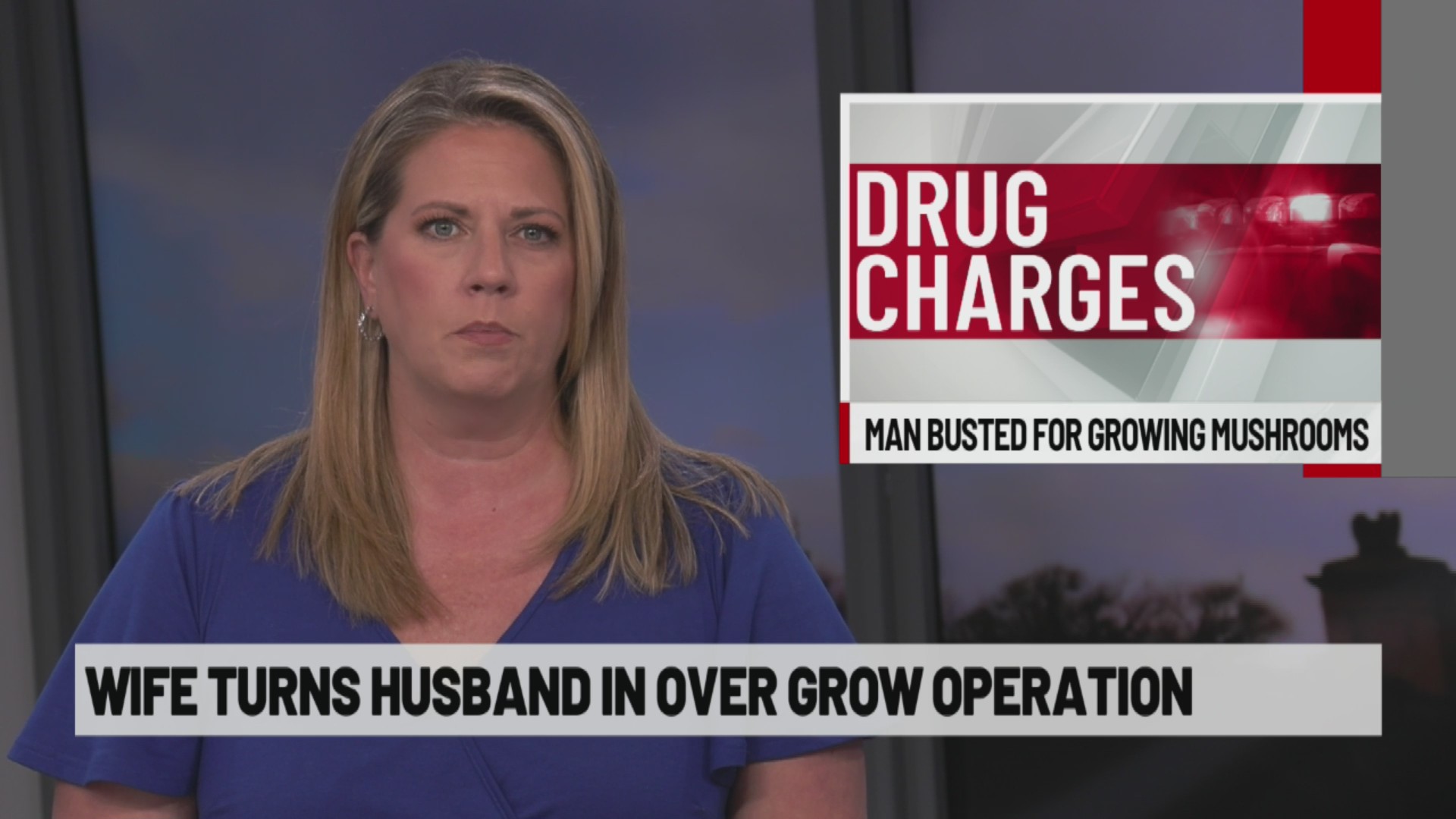 Wife turns husband in for growing mushrooms, police say | 28/22 News