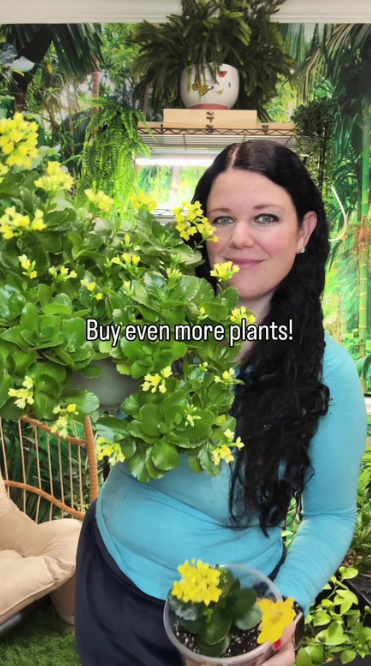Why plants make everything better at home
