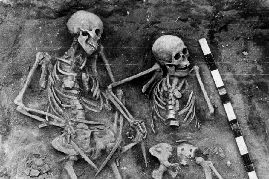 New discovery that hunter-gatherer children died of plague more than ...